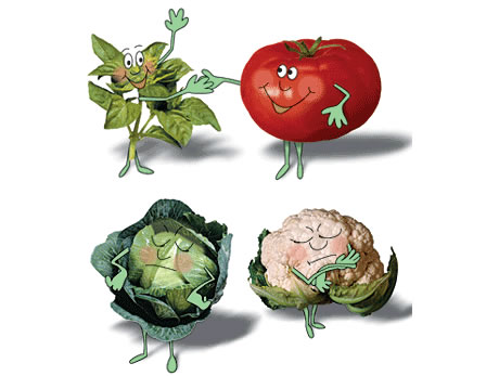 Companion Planting & Flowers for the Vegetable Patch – Vegetable ...